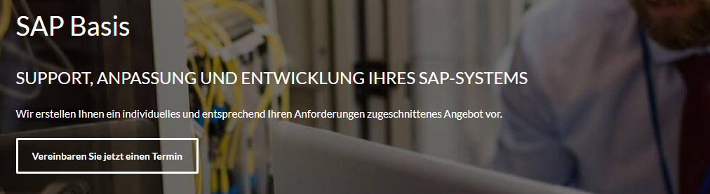 WARUM BRAUCHT IHRE FIRMA EIN SAP-BASIS-TEAM?